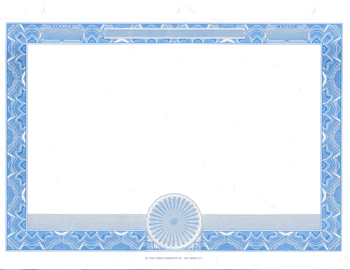 Blank Border Blue with Printed Back Units- Set of 100 – Stock Certificates